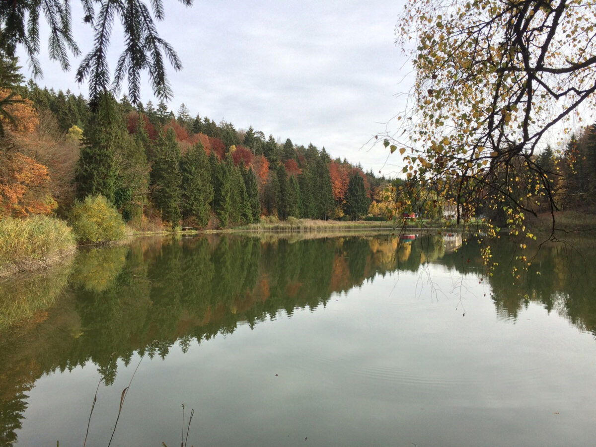 Camping Étangs du Longeau en Meuse - Foxycamp