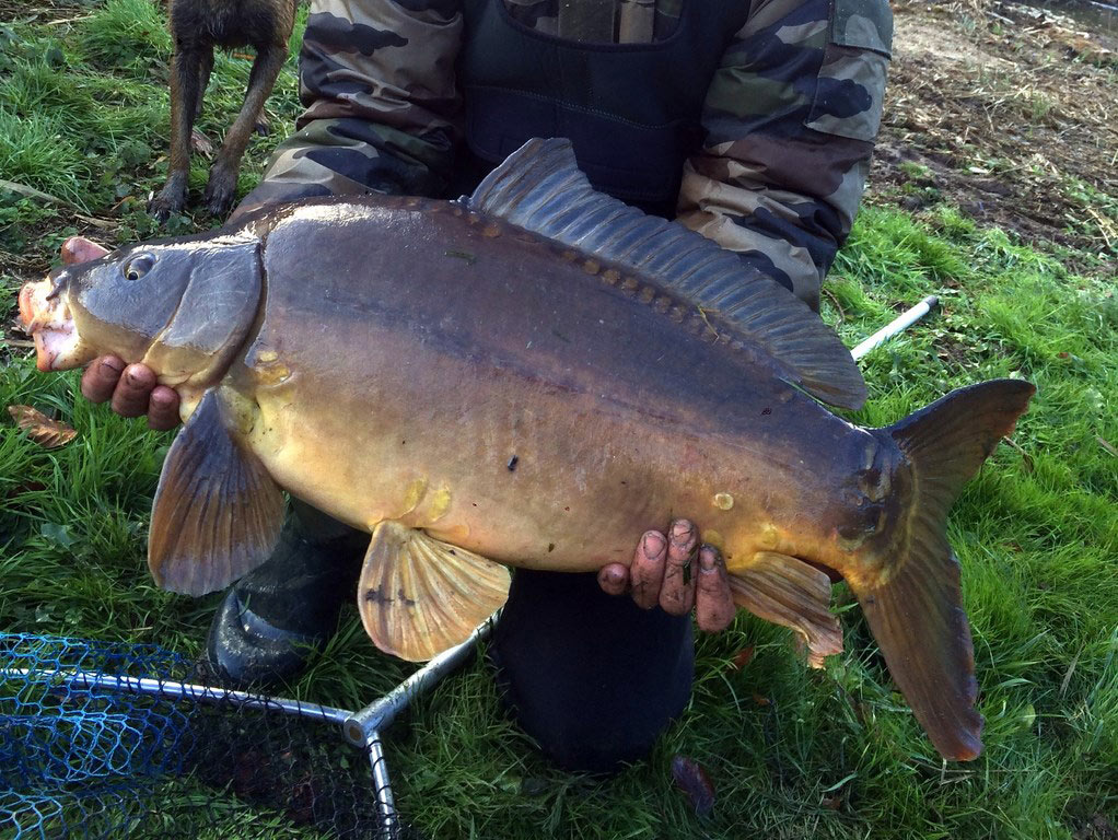 Camping Étangs du Longeau en Meuse - Les Etangs du Longeau